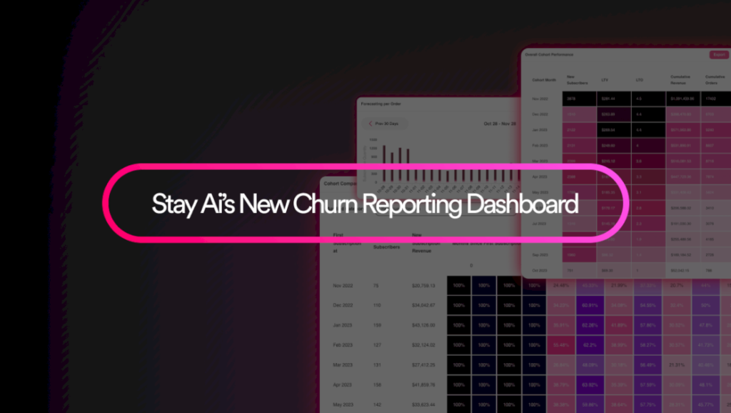 Meet Stay Ai’s New Churn Reporting Dashboard | Ecommerce Fastlane